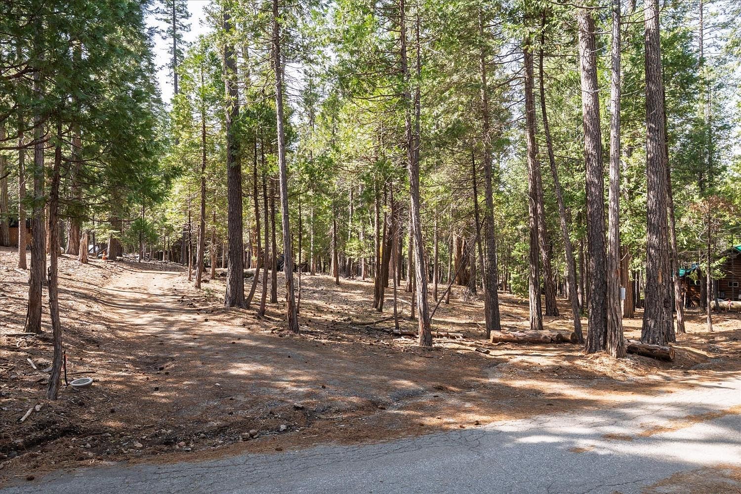 1 Koon Hollar Rd, Yosemite National Park, CA 95389 | MLS #629582 | Zillow