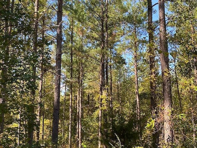 Riceville Rd, Java, VA 24565 | Zillow