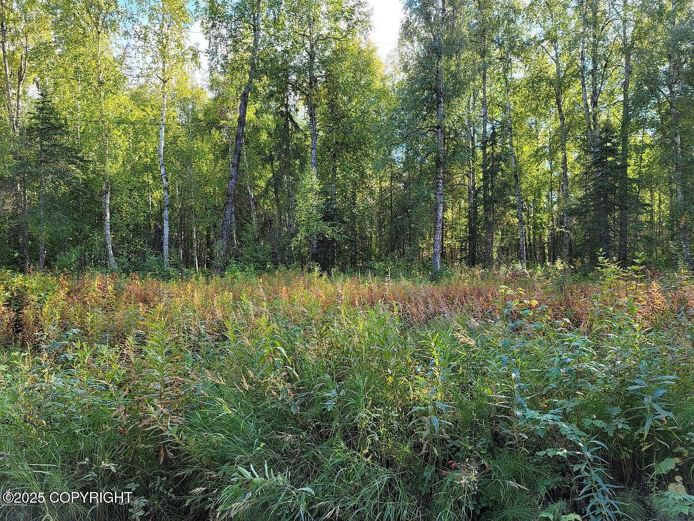 14500 N Susitna Landing Rd, Willow, AK 99688 | MLS #25-6604 | Zillow