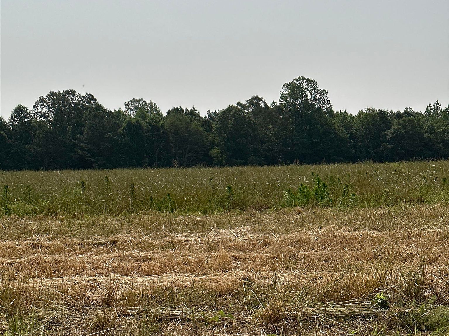 TRACT 33 Hays Mill Rd, Elkmont, AL 35620 | MLS #1835890 | Zillow