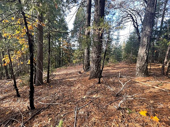 16605 Buckeye Rd, Nevada City, CA 95959 | MLS #223108963 | Zillow