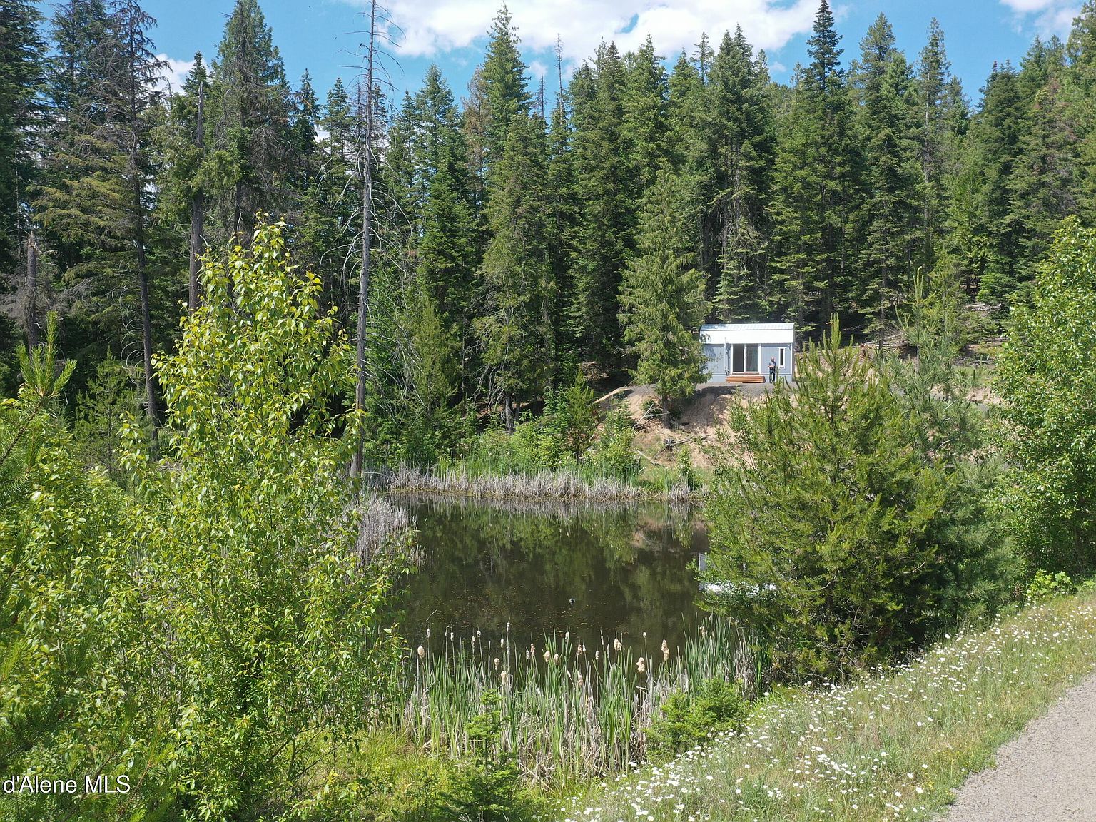347 Ryan Loop, Saint Maries, ID 83861 | Zillow