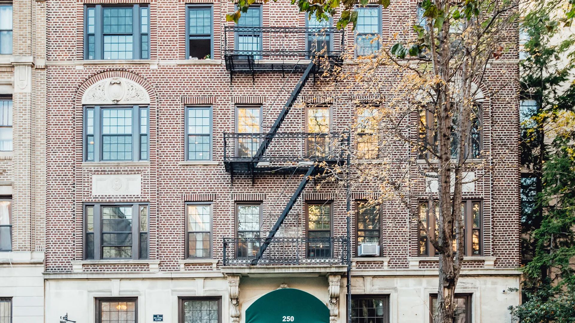 250 Washington Avenue #A1 in Clinton Hill, Brooklyn | StreetEasy