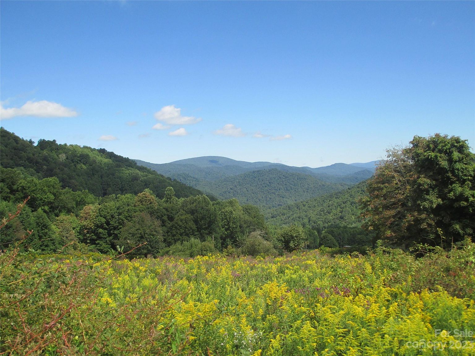 1099 Silas Branch Rd, Burnsville, NC 28714 | MLS #4012424 | Zillow