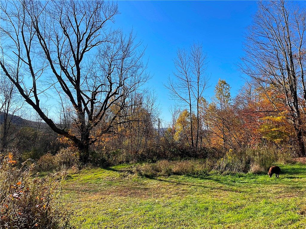 179 Texas Hill Rd #3, Georgetown, NY 13072 | Zillow