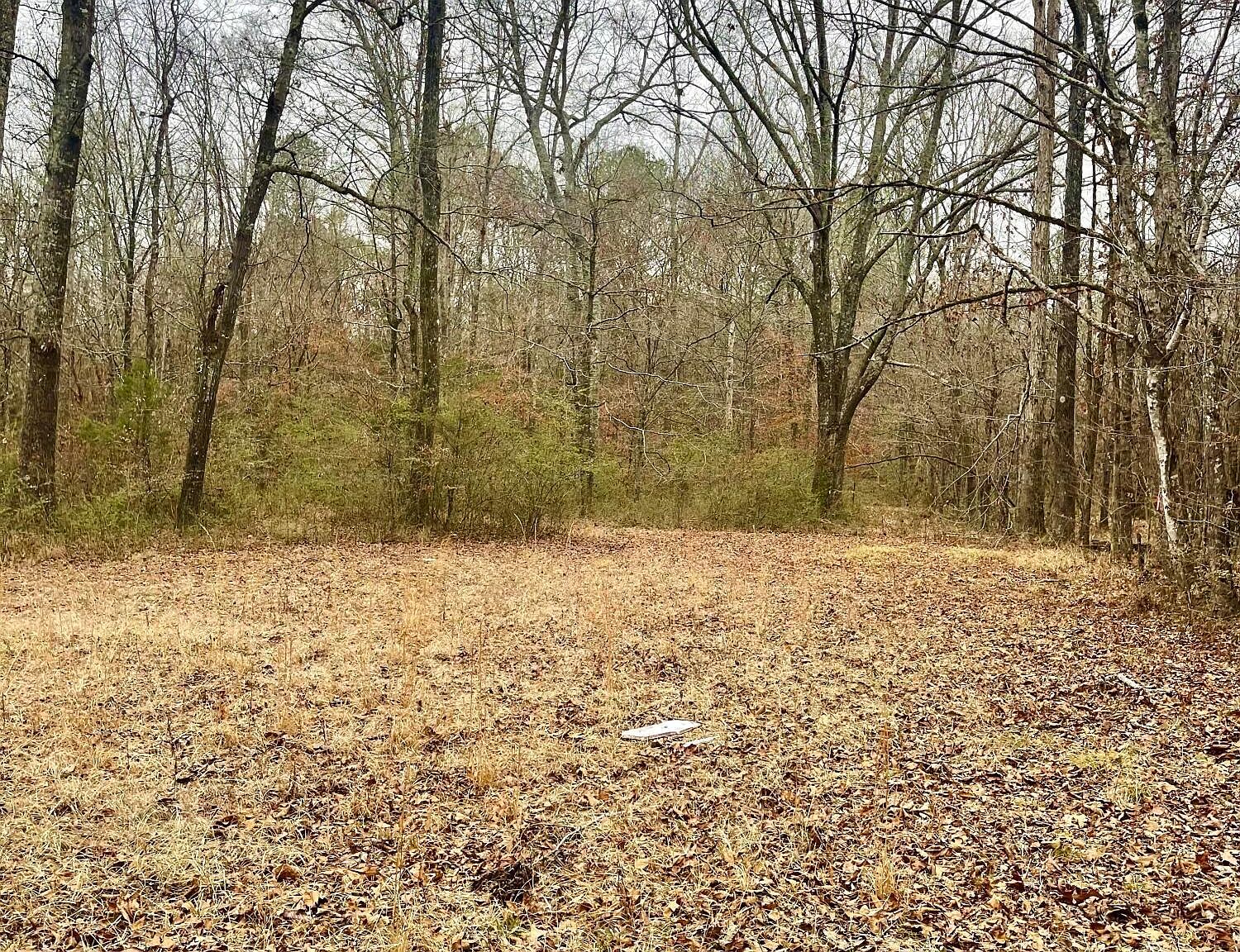 3284 Butler Rd, Jasper, AL 35501 | Zillow