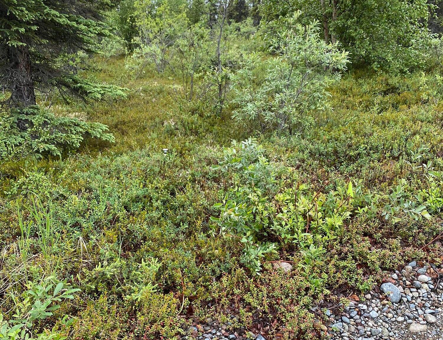 L4 B7 Keyes Point, Pt Alsworth, AK 99653 | Zillow