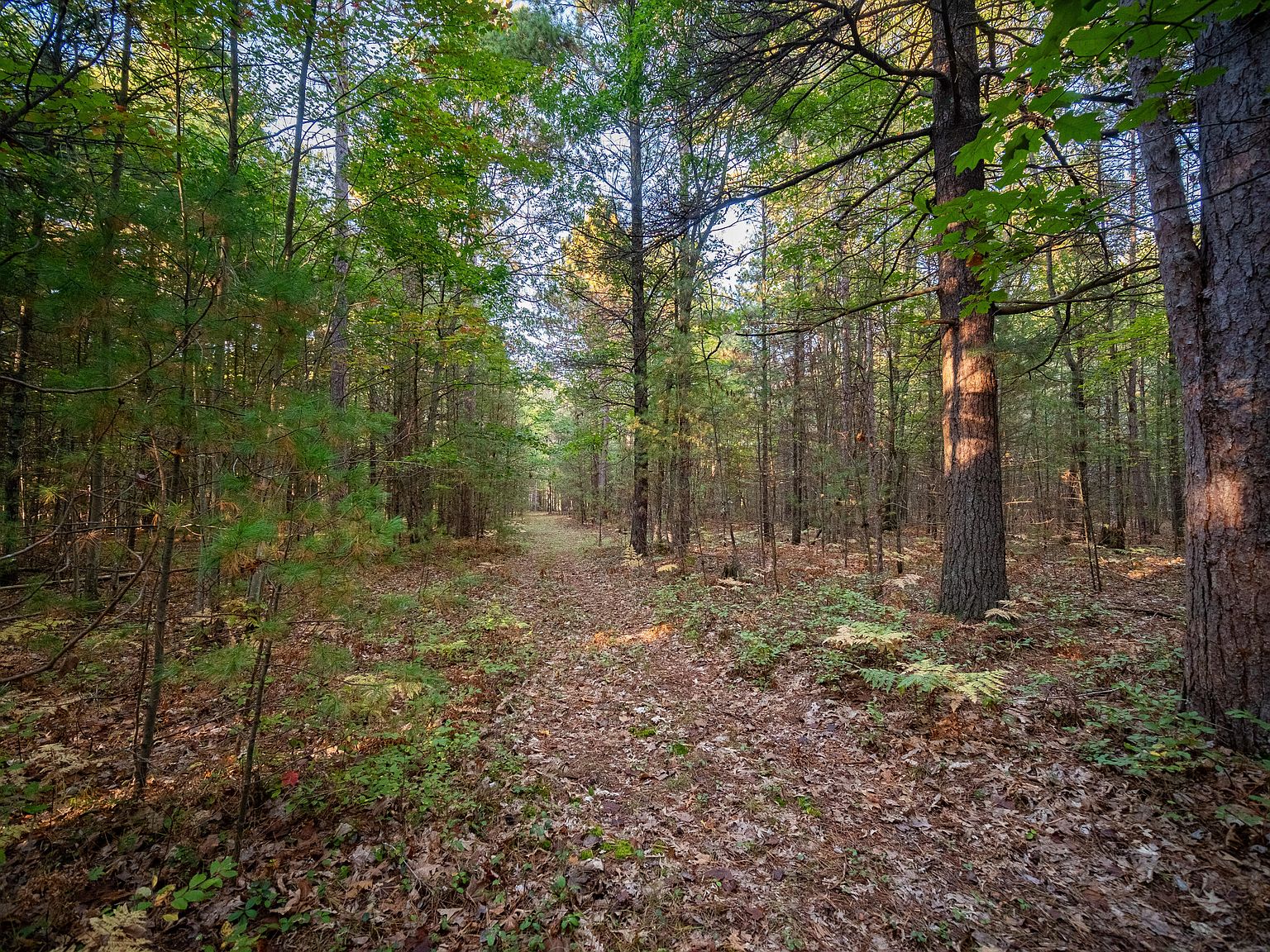 N Of 3657 Wildwood, Manistee, MI 49660 | MLS #25013198 | Zillow