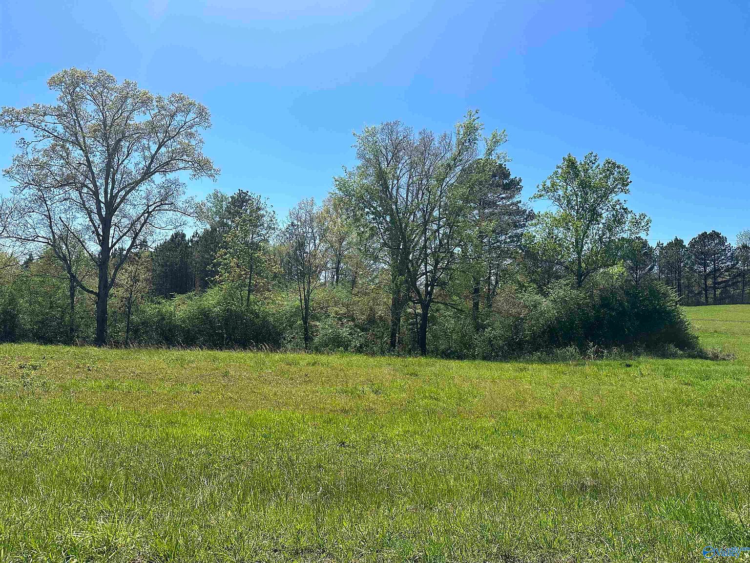 County Road 1061, Vinemont, AL 35179 | MLS #21858224 | Zillow