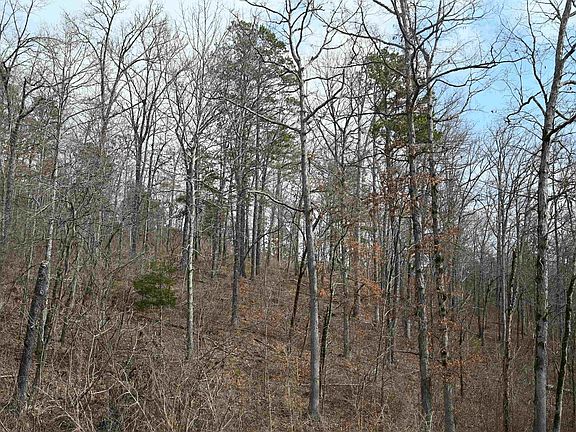 3875 Tomahawk Slab S &10 #9-16, Saint Joe, AR 72675 | MLS #24007627 ...