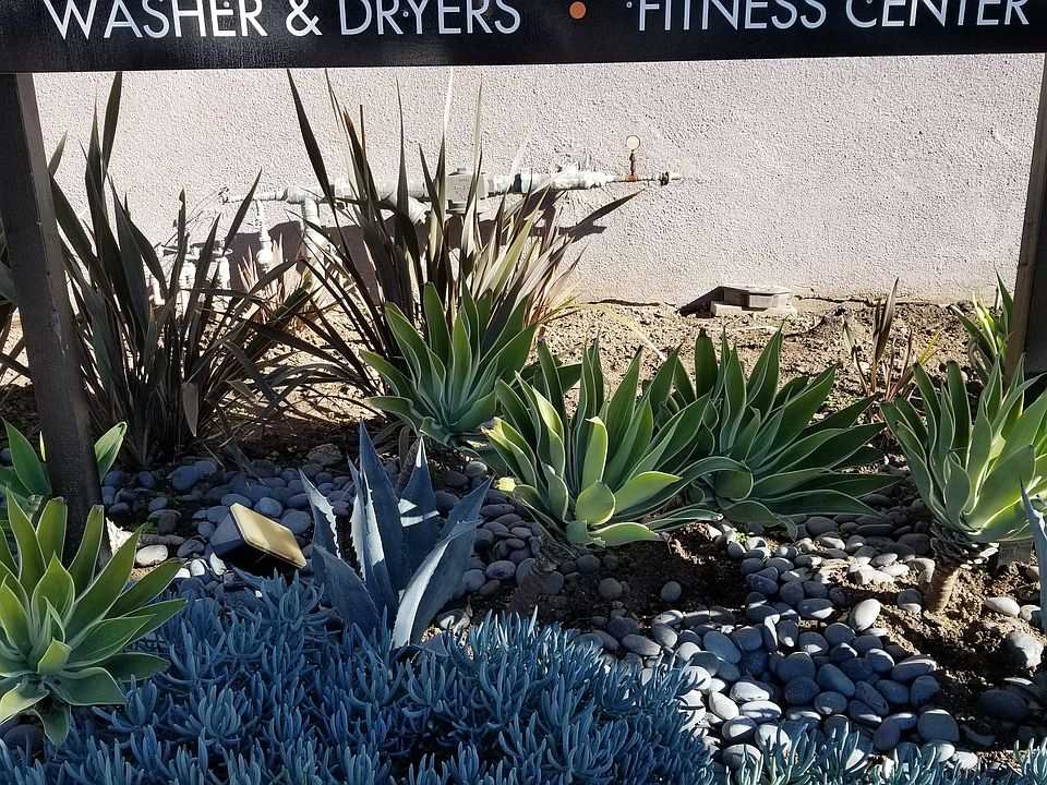 3940 Laurel Canyon Blvd #310N, Studio City, CA 91604 | Zillow