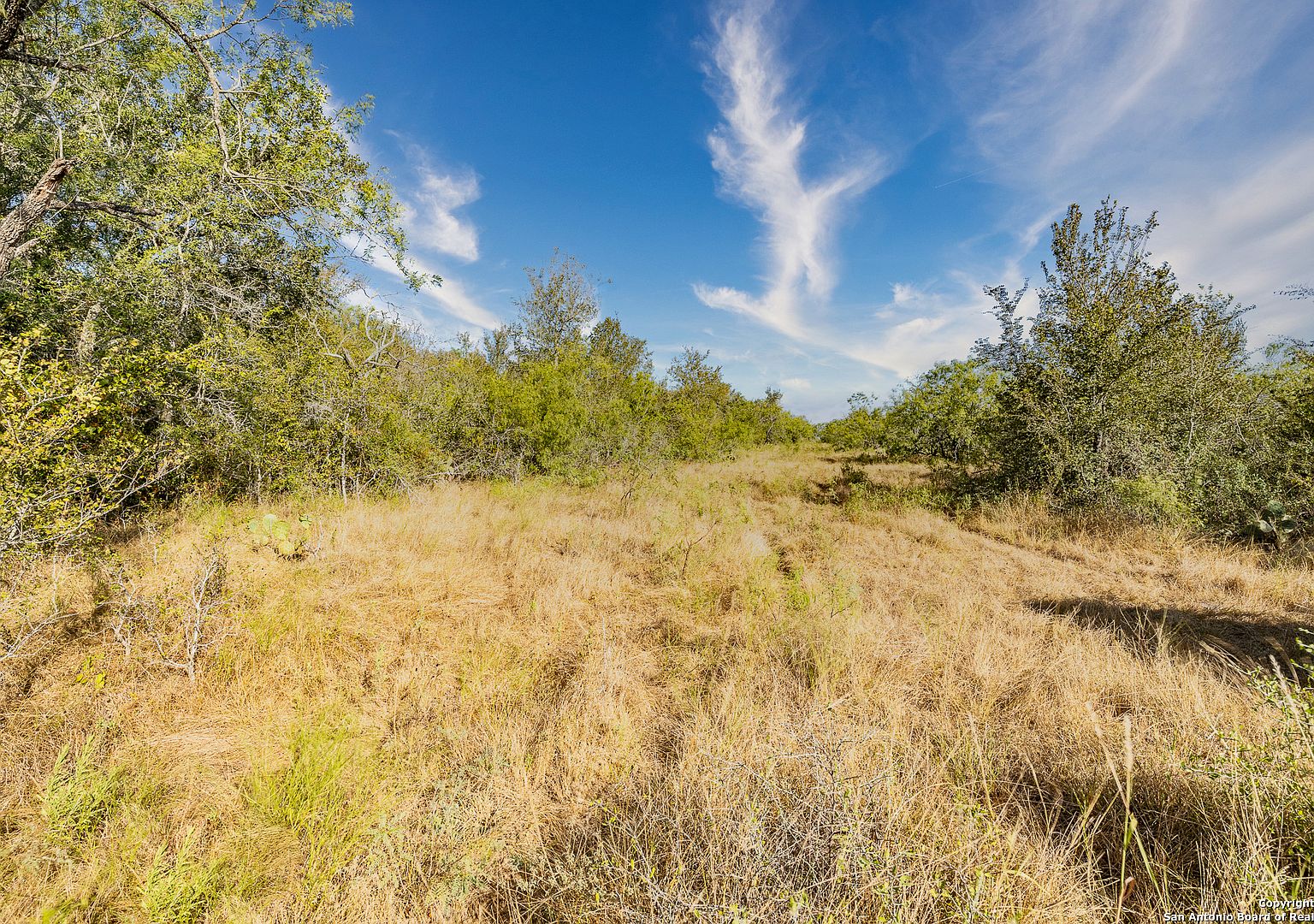 TBD FM 108, Smiley, TX 78159 | MLS #1856924 | Zillow
