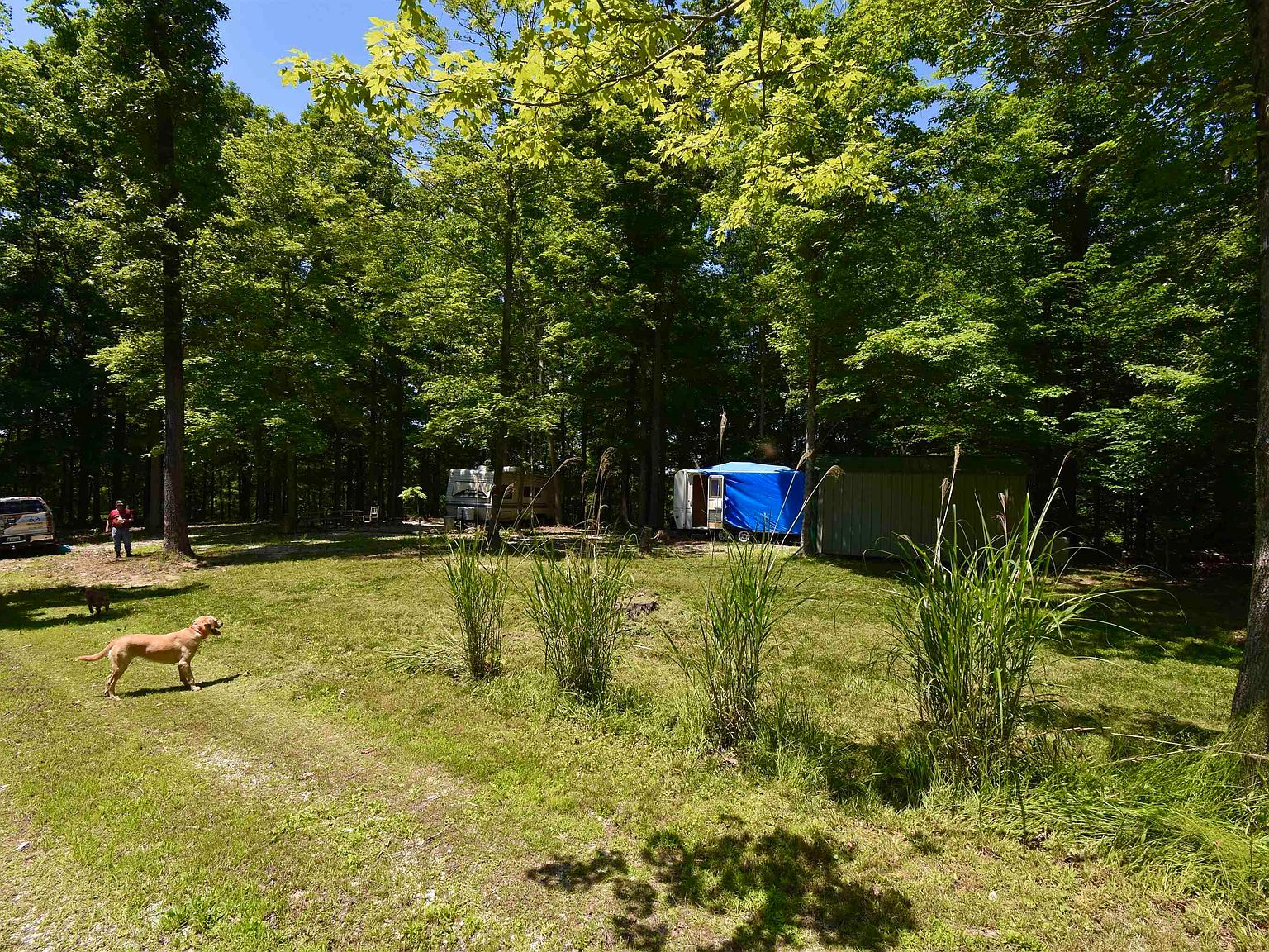 297 W Zahn Rd, English, IN 47118 | Zillow