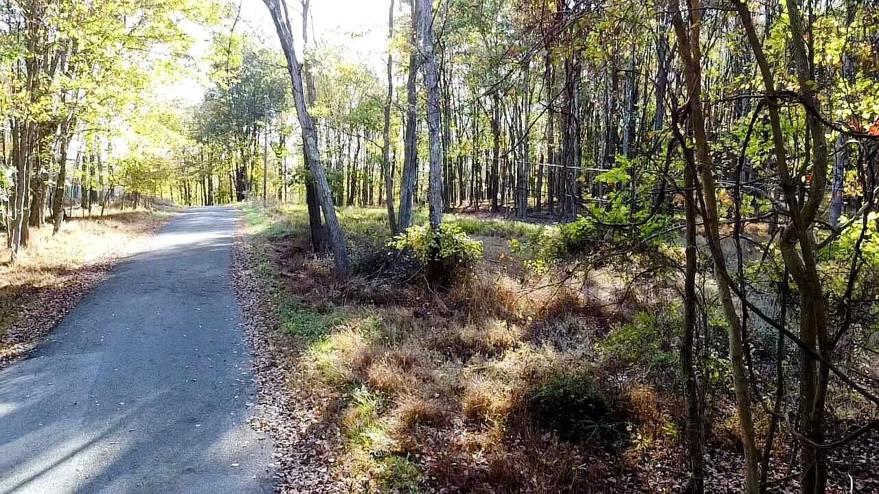 0 Reas Ln, New Millport, PA 16861 | Zillow