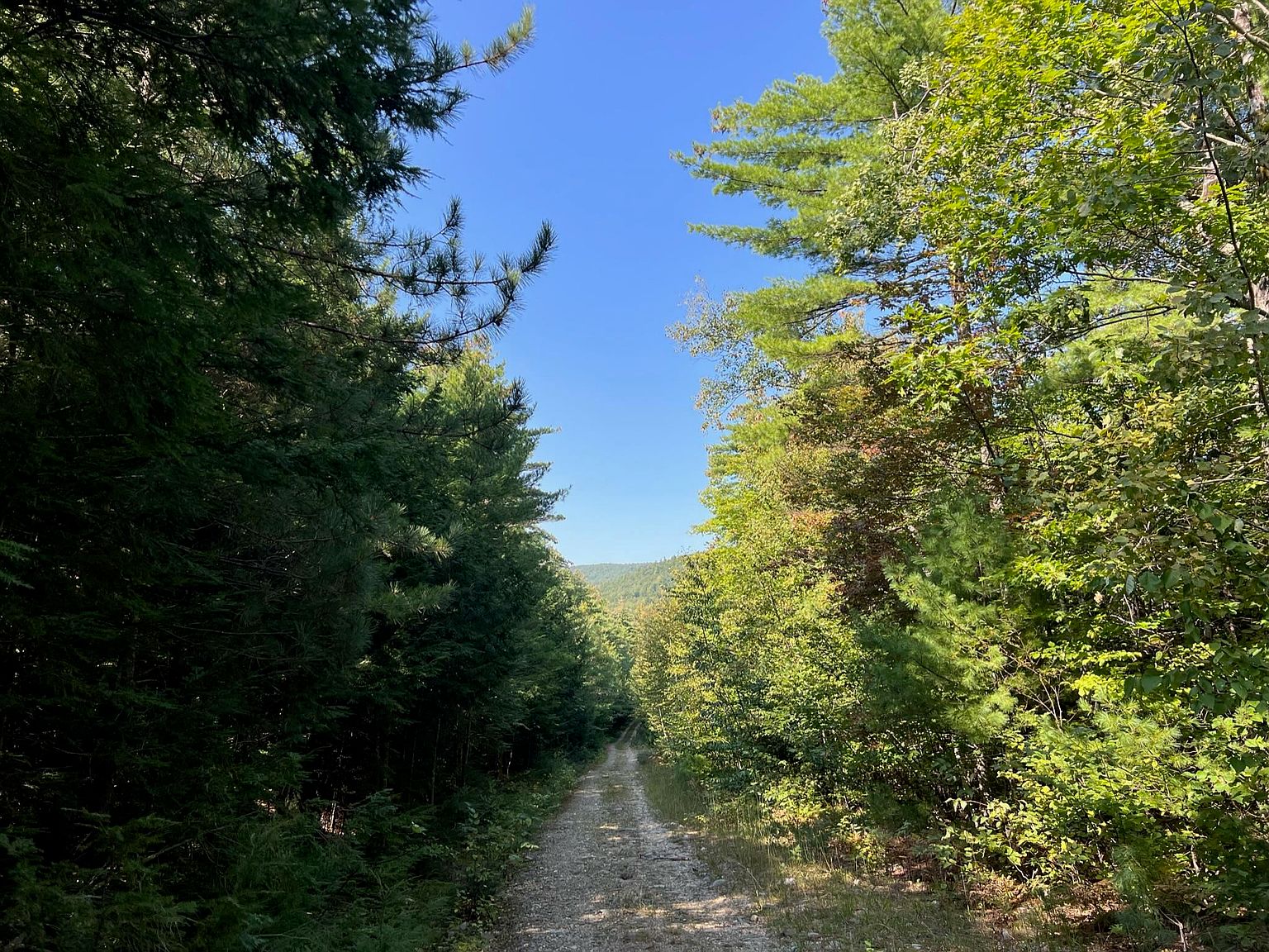 Map 26 Lot 28 Moose Mountain Road, Union, NH 03887 | MLS #4978139 | Zillow