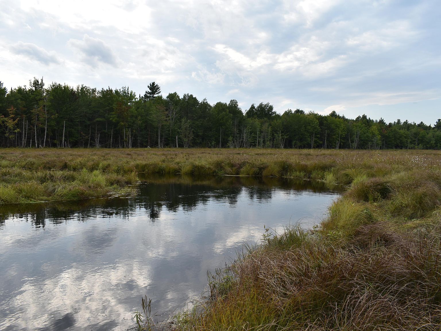 Lot 5 Stevens Brook Lane Lot 006-005, Greenbush, ME 04418 | MLS ...