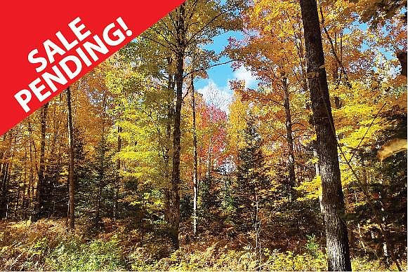 6 Us Highway 52, Pickerel, WI 54465 | Zillow