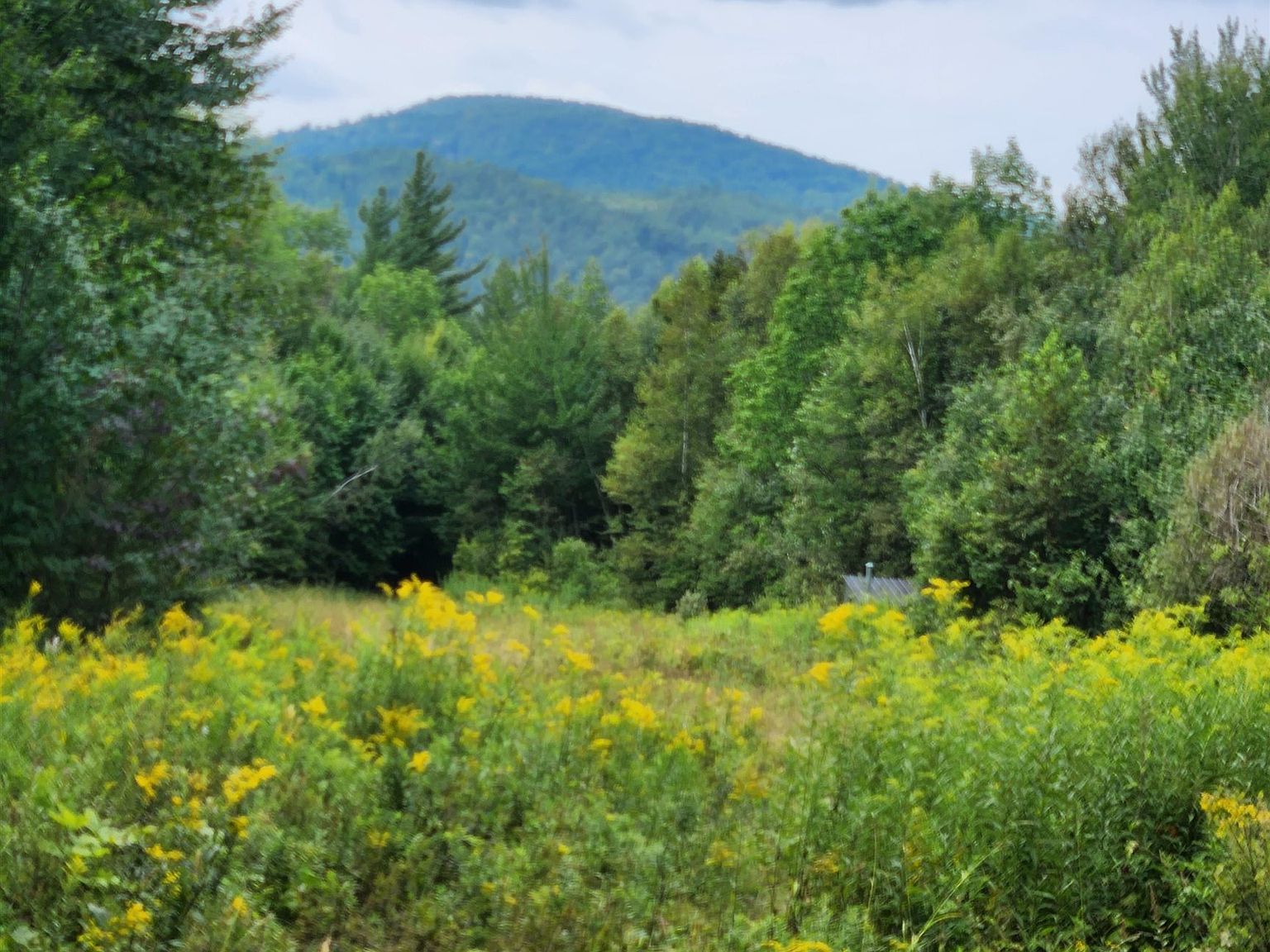 348 Parker Road #72-0, Whitefield, NH 03598 | MLS #5060915 | Zillow