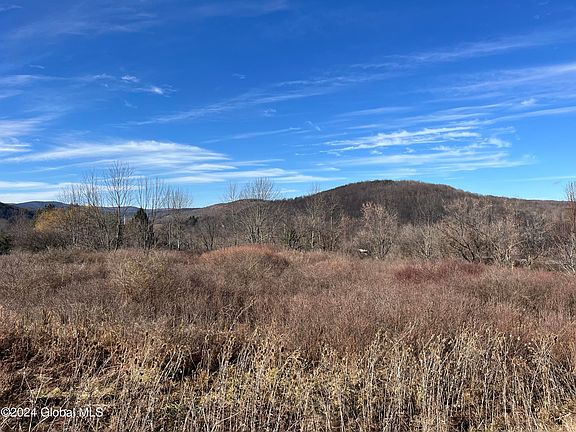 L24 State Route 10, Richmondville, NY 12149 | MLS #202429916 | Zillow