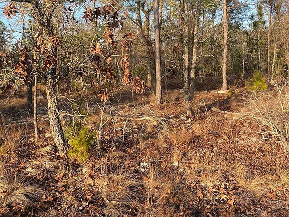 0 Robert Chapel Cemetery Rd, Glennville, GA 30427 | Zillow