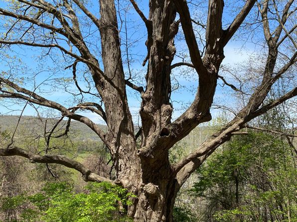 Amenia NY Real Estate - Amenia NY Homes For Sale | Zillow