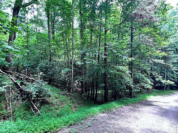 L3675 Fern Dr, Ellijay, GA 30540 | MLS #326142 | Zillow