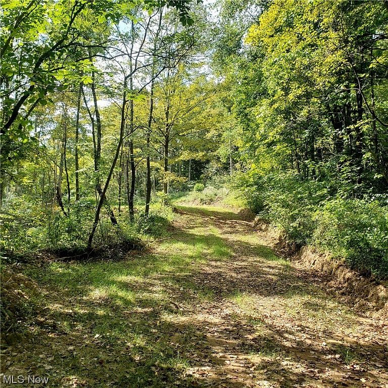 Archers Ridge Rd, Caldwell, OH 43724 | Zillow