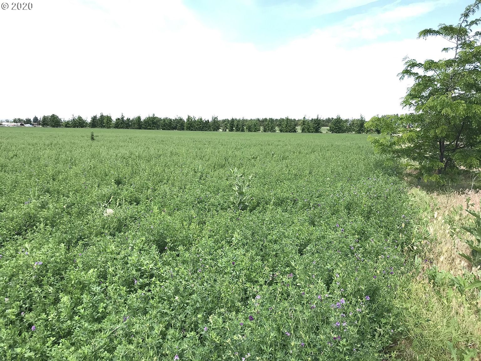 Highway 332, Milton Freewater, OR 97862 | Zillow