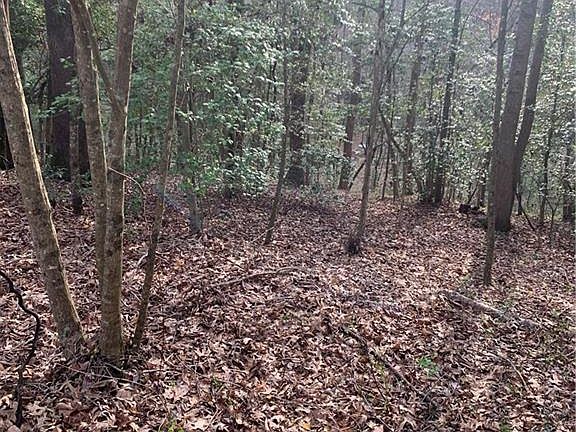 0 Abner Ln #1, Mount Airy, NC 27030 | MLS #1177835 | Zillow