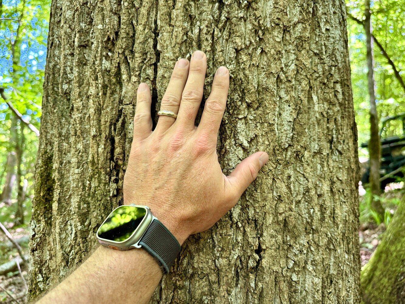 0 Fellowship Cemetary Rd, Marion, AL 36756 | MLS #11327147 | Zillow