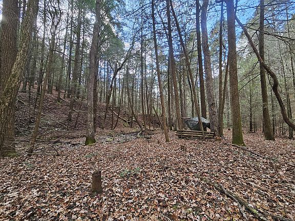 76 Braden Ln, Coalmont, TN 37313 | Zillow