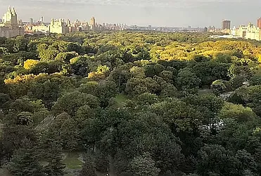 Trump Parc at 106 Central Park South in Central Park South : Sales ...