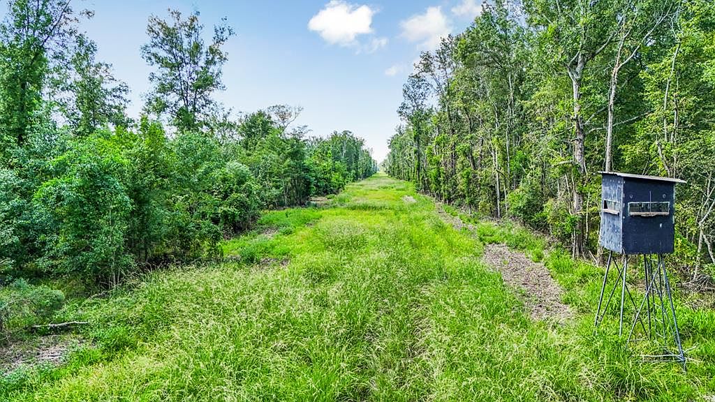 0 Jack Torres Rd, Erwinville, LA 70729 | MLS #143471 | Zillow