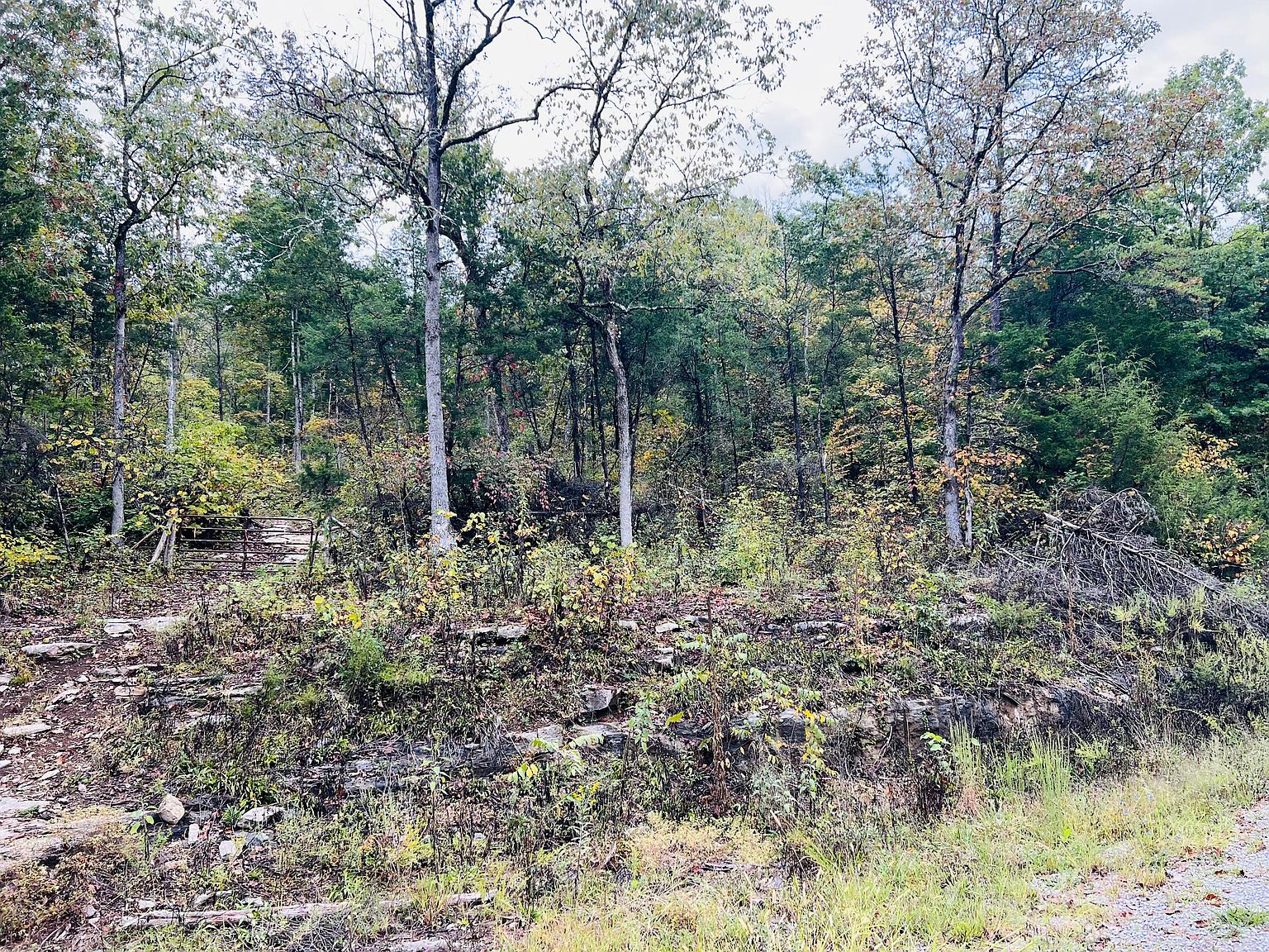 59AC Nathan Haynes Rd, Monticello, KY 42633 | MLS #24020394 | Zillow