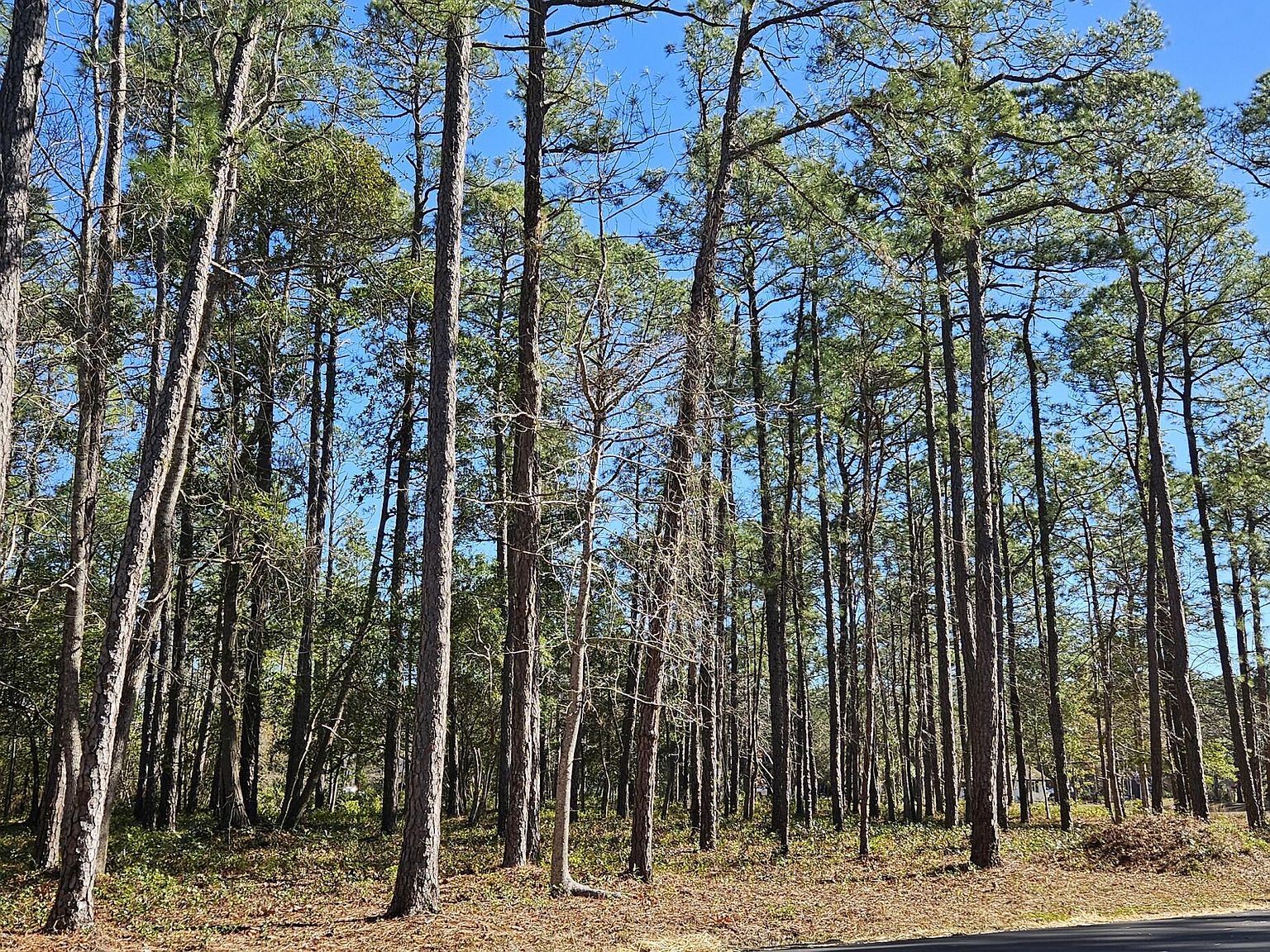 83 Pinewood Drive, Calabash, NC 28467 | Zillow