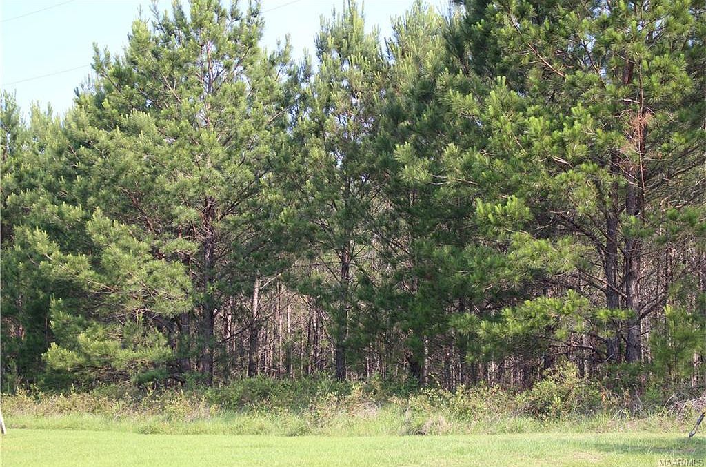 21 Chesson Hill Dr, Fitzpatrick, AL 36029 | Zillow