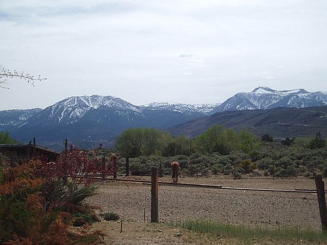15885 Secret Pass Rd, Reno, NV 89521 | Zillow