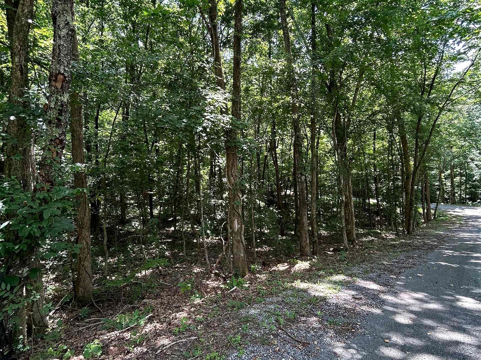 0 Cedar Ln, Cadiz, KY 42211 | MLS #132948 | Zillow