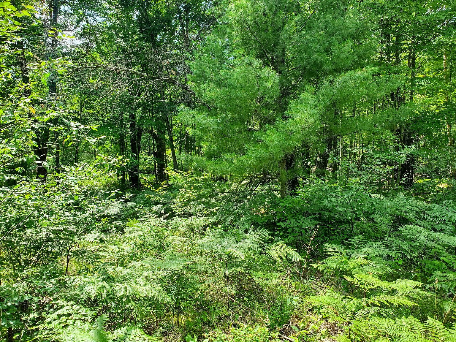 E Unity Dr, Idlewild, MI 49642 | MLS #24051616 | Zillow