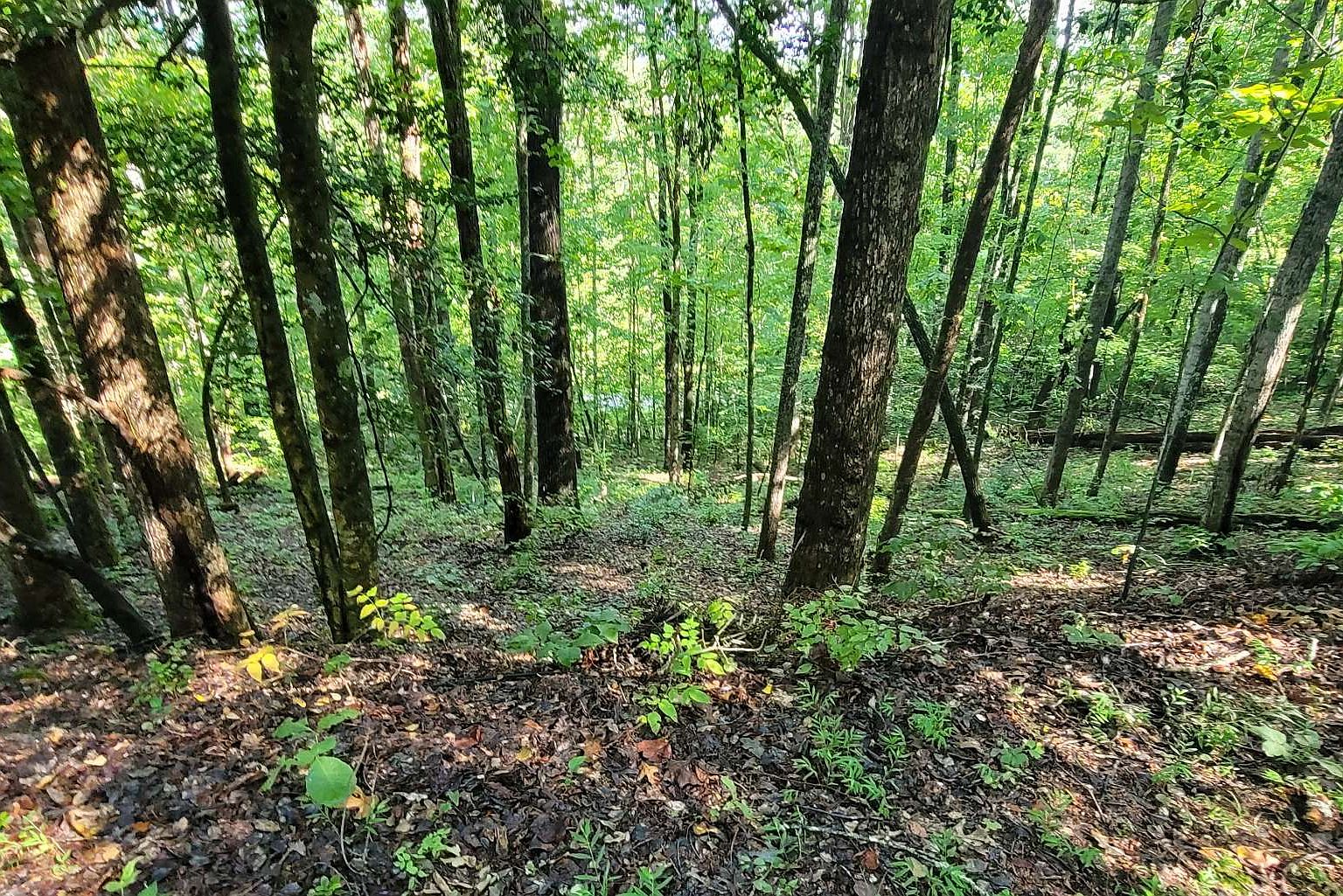 154-5 Dogwood Cir, Hayesville, NC 28904 | MLS #328660 | Zillow