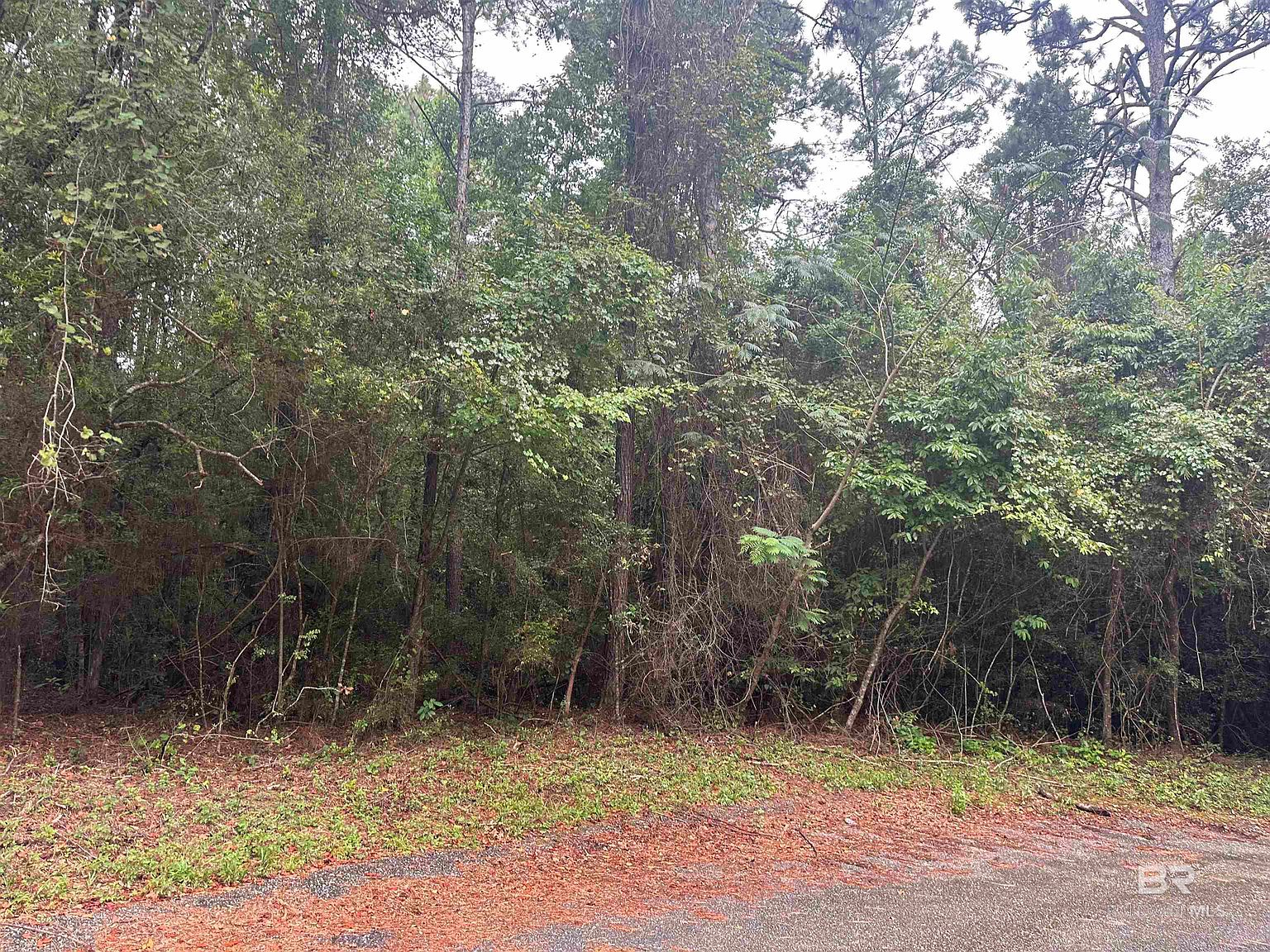 9 Pine St #9, Saraland, AL 36571 | MLS #389489 | Zillow