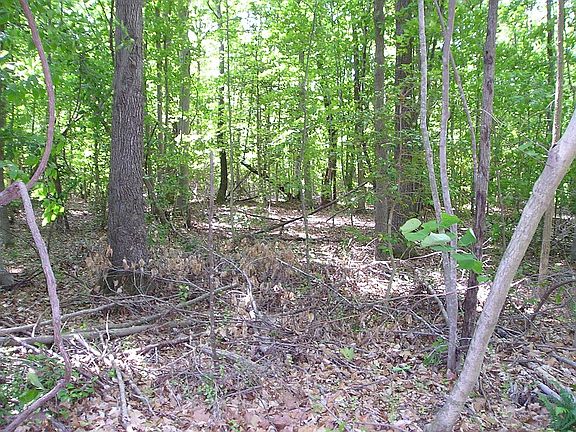 2560 Fort Huger Dr, Smithfield, VA 23430 | Zillow