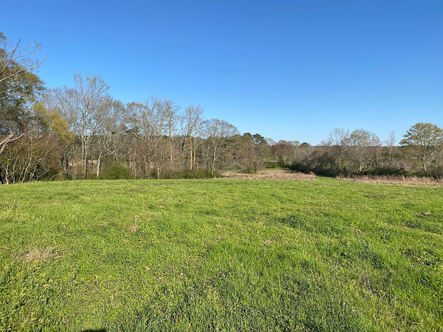 Lower Myrick Rd, Laurel, MS 39443 | MLS #141831 | Zillow