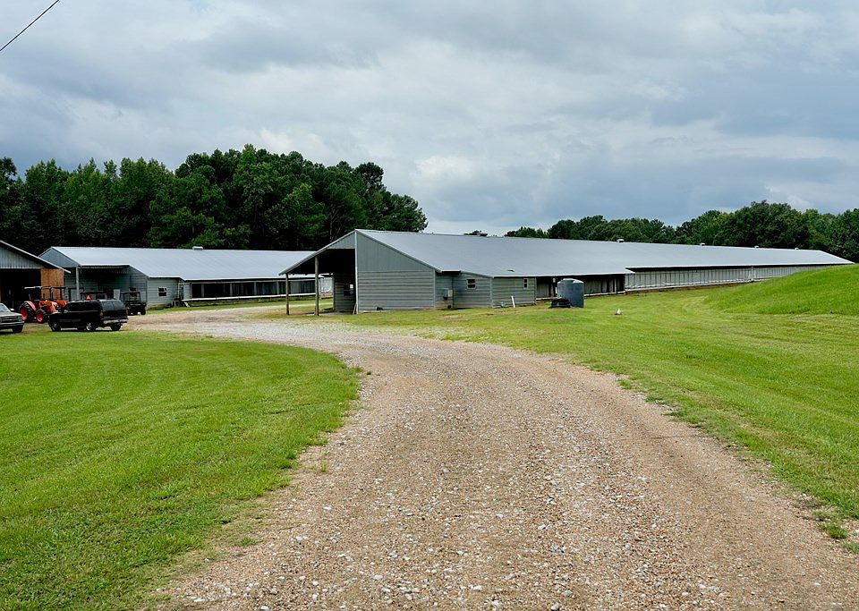 6464 Newton Conehatta Rd, Decatur, MS 39327 | MLS #138598 | Zillow
