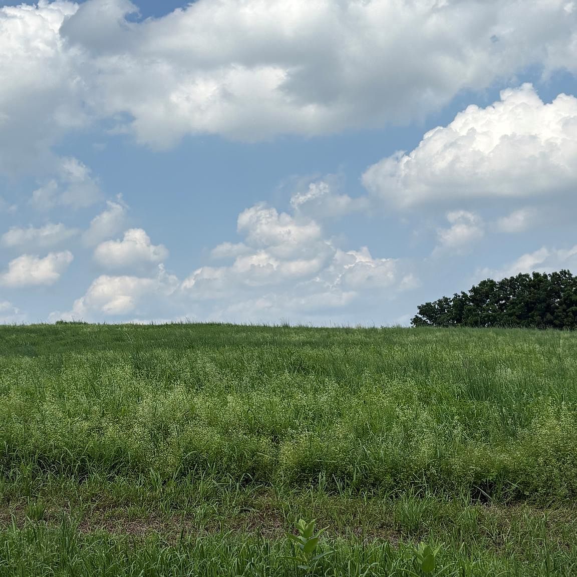 LOT 3 Station Rd, Grantville, PA 17028 | MLS #PADA2047722 | Zillow