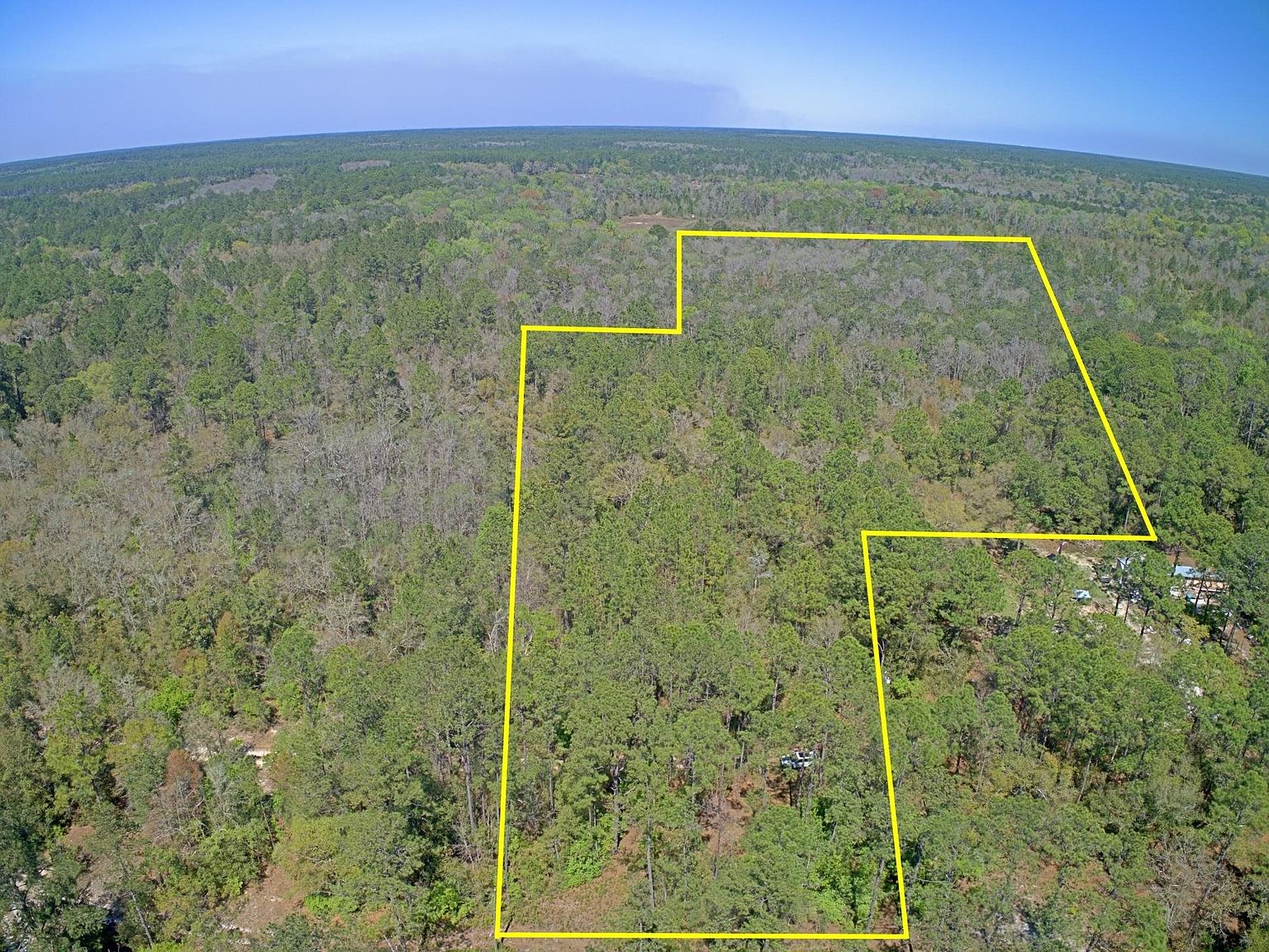 X Dwight Sanders, Sopchoppy, FL 32358 | Zillow