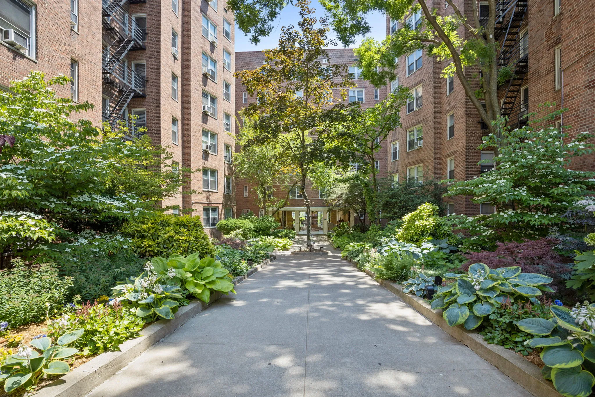 800 Grand Concourse #3KS in Concourse, Bronx | StreetEasy