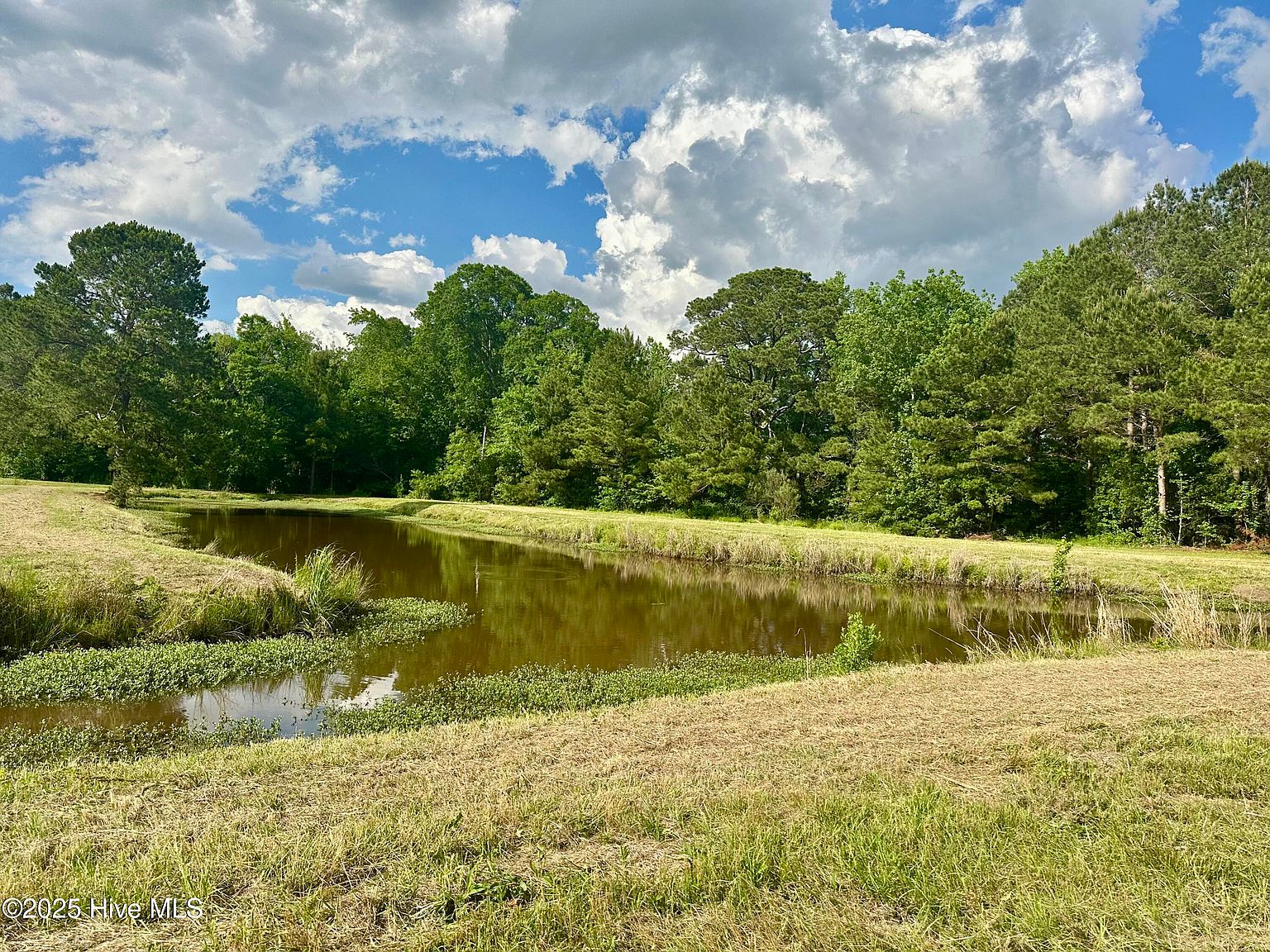 Near 2151 Dolph Lewis Road, Cerro Gordo, NC 28430 | MLS #100506327 | Zillow