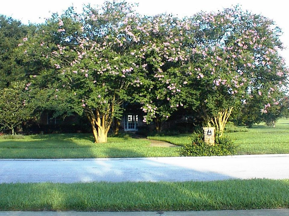 5204 Butler Ridge Dr, Windermere, FL 34786 | Zillow