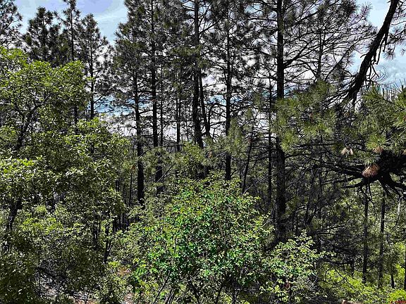 282 Blue Ridge Circle, Bayfield, CO 81122 | MLS #818247 | Zillow